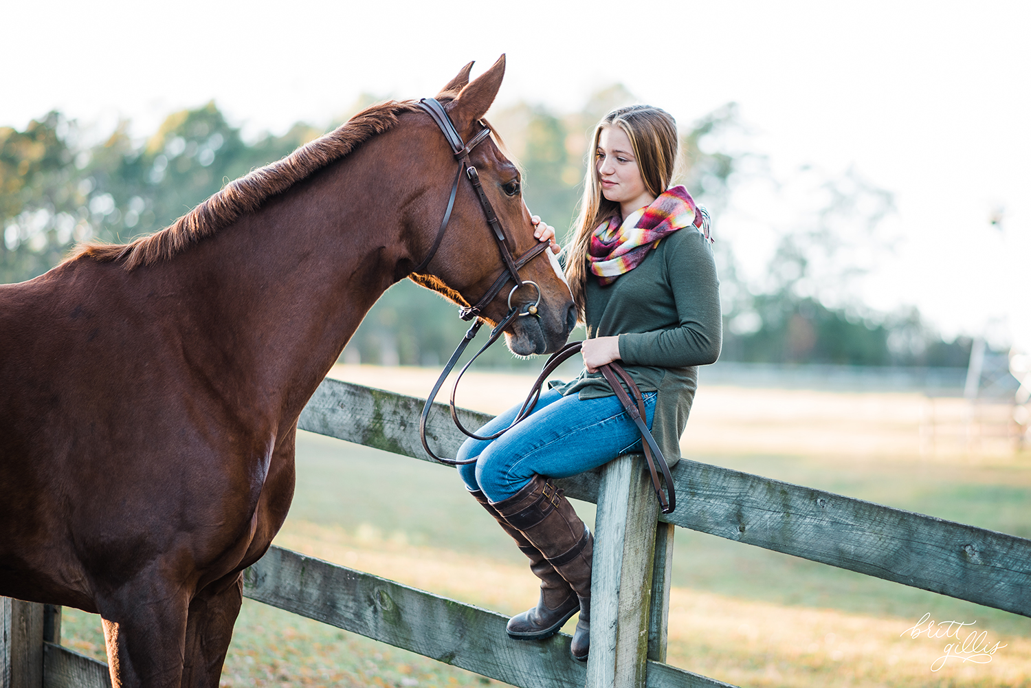 web-Dylan-Rizzo-11 | Red on the Right